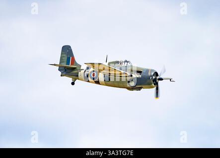 Vought F4U Corsairs with Grumman F6F Hellcat Stock Photo - Alamy