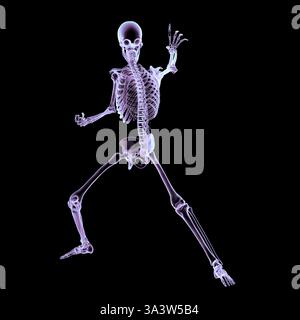 Illustration of a human skeleton in a dynamic fighting pose, showcasing ...