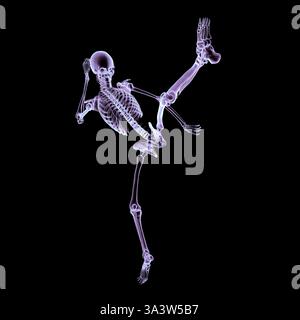 Illustration of a human skeleton in a dynamic fighting pose, showcasing ...