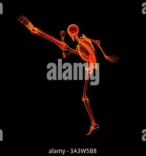 Illustration of a human skeleton in a dynamic fighting pose, showcasing ...