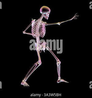 Illustration of a human skeleton in a dynamic fighting pose, showcasing ...