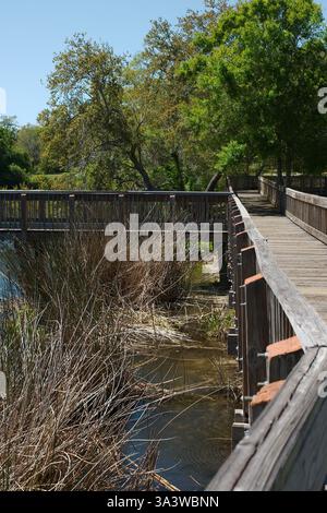 Lush green trees line a winding road with city skyline in the ...