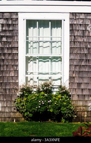 Tin white shuttered windows with flowers filled window boxes on a ...