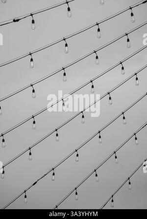 Many White Light Bulbs are hung on the Ceiling of the Wooden Curved ...