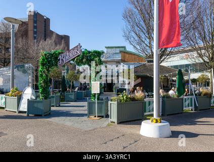 The Botanist pub, The Top, Chavasse Park, Liverpool ONE, city centre of ...