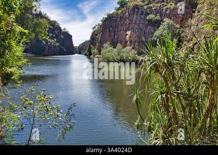 River Pandanus, Katherine Gorge, Nitmiluk National Park, Northern ...