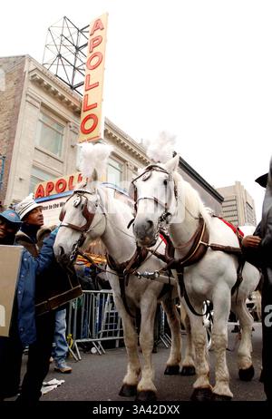 Dec. 28, 2006 - New York, New York, U.S. - JAMES BROWN PUBLIC VIEWING ...
