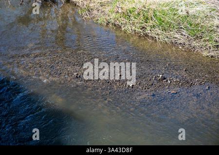 Shallow areas are seen in a stream in springtime when the water level ...