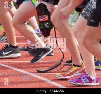 Athletes line up to compete in the men's 10km open water final at the ...