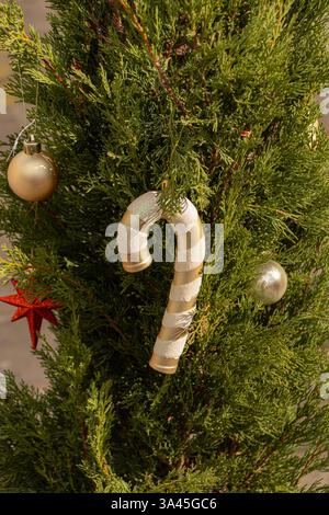 Candy cane hanging in Christmas tree Stock Photo - Alamy