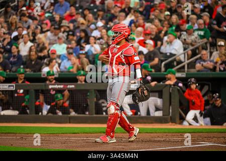 Cincinnati Reds catcher Jose Trevino looks on during a baseball game ...