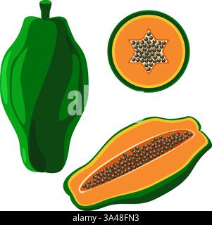 tropical fruit papaya Stock Vector Image & Art - Alamy