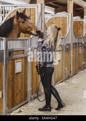 German Riding Pony in the stable Stock Photo - Alamy
