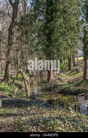 Abington Park, Northampton. Sunny weather and the signs of spring in ...