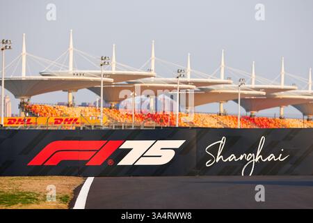 SHANGHAI, CHINA- MARCH 19: A general view of the track during preview ...