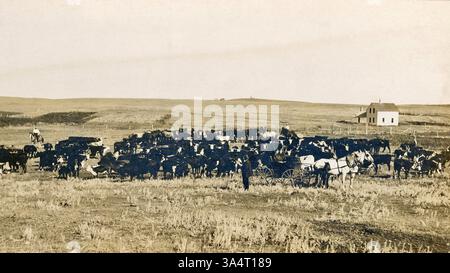 Homestead, Westward Expansion, Cattle Ranch about 1900 Stock Photo - Alamy