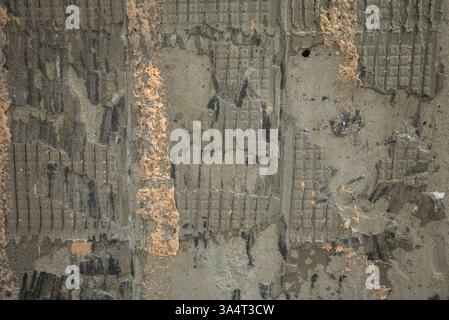 Wall stripped of drywall, showing visible mold Stock Photo - Alamy