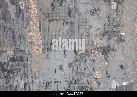 Wall stripped of drywall, showing visible mold Stock Photo - Alamy