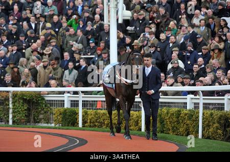 Constitution Hill in the parade ring on day one of the 2026 Cheltenham ...
