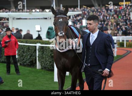 Constitution Hill in the parade ring on day one of the 2026 Cheltenham ...