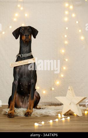 Vertical Black Christmas Sign,Lights, Adventszeit Means Advent Season ...