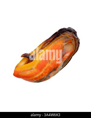 Side view of single cooked green mussels meat is isolated on white ...