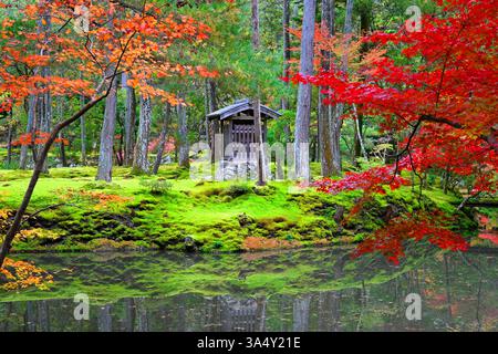 Saiho-ji zen temple (Koke-dera, the Moss Temple), Kyoto, Japan. A path ...