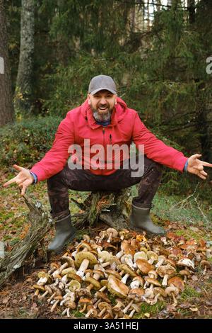 Collection of autumn forest. Autumn landscape Stock Photo - Alamy