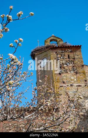 The Church of St. Peter the Apostle, located in Monesterio, Badajoz, is ...