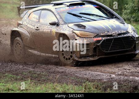 SOLBERG Oliver, Toyota GR Yaris Rally1, portrait during the 2025 Rally ...