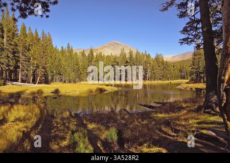 Early autumn scene , Parks, Mountains, Roads, Tichnor Brothers ...