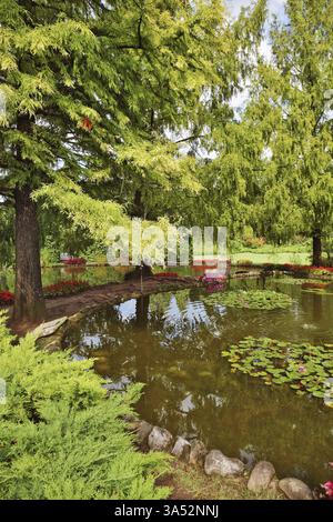 Photograph of a weeping willow by the lake, with a park pathway and ...