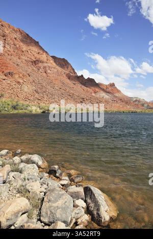 Pure nature landscape river among mangrove forests Stock Photo - Alamy