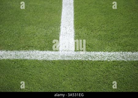 The green turf of a football pitch with the touchline and the centre ...