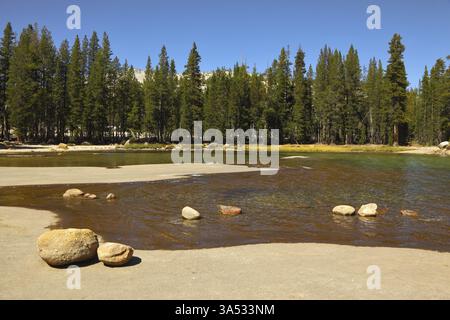 Shallow on mountain lake Tioga Stock Photo - Alamy