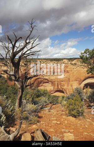 Historical Relic - Navajo Monument. Prehistoric cave in a giant canyon ...