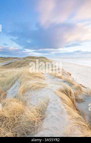 Summer evening sand dune landscape against the backdrop of a colorful ...
