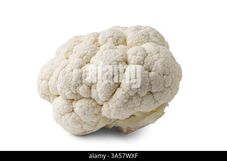 Whole head of organinc fresh raw cauliflower with green leaves close up ...