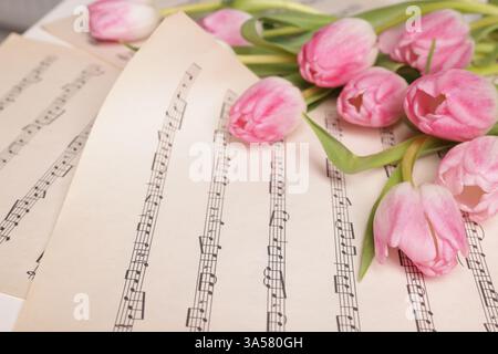 Beautiful tulips on sheets with music notes, closeup Stock Photo - Alamy