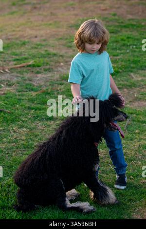 Child boy with poodle dog walking outdoor. Kid playing with puppy ...