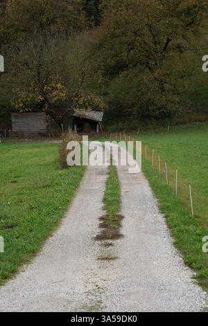simple country gravel road in summer at countryside forest with trees ...