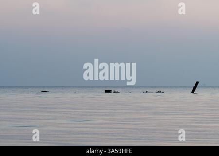 ORP Grom, former Soviet Navy Project 30bis destroyer Sposobnyy, in Hel ...