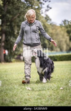 male Border Collie Stock Photo - Alamy