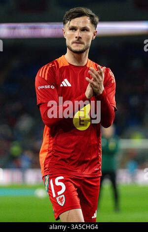 Wales' Liam Cullen during the FIFA World Cup European Qualifying match ...
