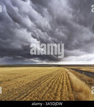 Thunderclouds above fields after harvesting. Montana, the USA Stock ...