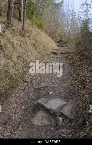 Hiking is one way to switch off and be free. a young man out on a hike ...