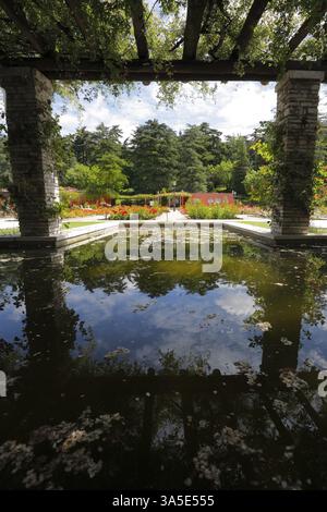 Cosy day in the park landscape in Gotha - Thuringia - Germany Stock ...