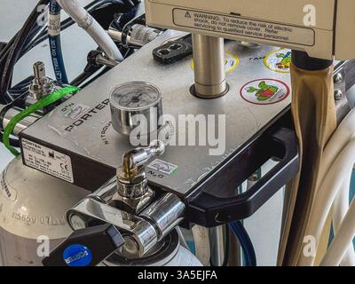 Portable oxygen tank with pressure gauge and oxygen flow regulator ...