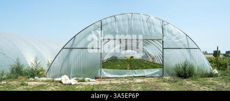 Greenhouses inside an agricultural area in Yokohama, Kanagawa ...