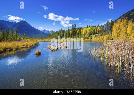 Shallow Lake Vermilion among the forests Stock Photo - Alamy